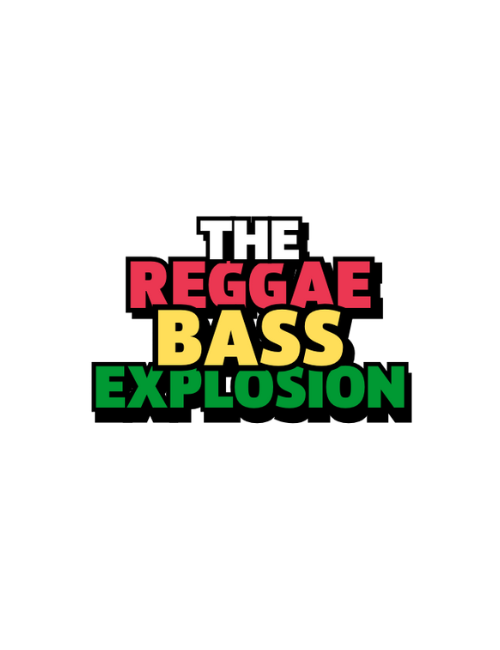 eBassGuitar Store